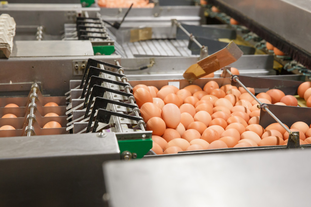 Key Facts on Northern Ireland's Food and Drink Industry